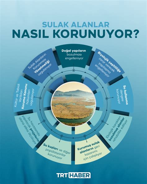 Türkiyenin Zenginliği Sulak Alanlar Son Dakika Haberleri