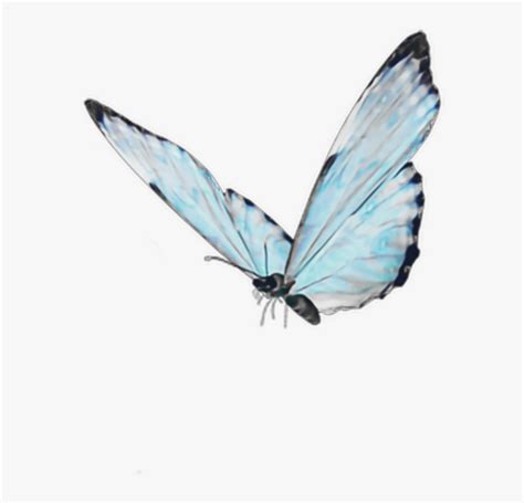 Top More Than 61 Aesthetic Blue Butterfly Wallpaper Best In Cdgdbentre
