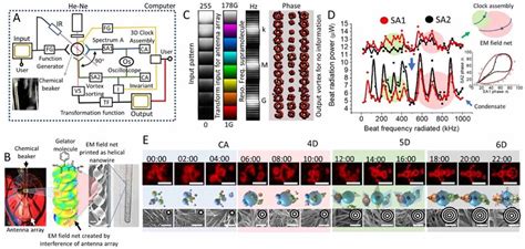 Live Holographic Visuals Of Supramolecular Synthesis As Nested Deep