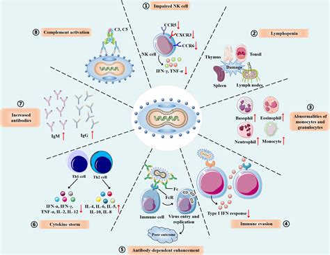 The Land Scape Of Immune Response To Monkeypox Virus EBioMedicine