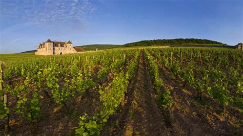 Galerie Hostellerie Cèdre Spa au Coeur de Beaune Bourgogne