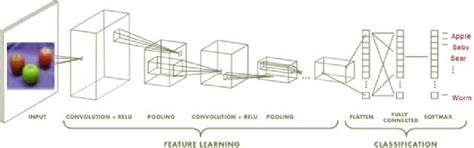Basic Framework Of Convolutional Neural Network Applied On Cifar 100 Download Scientific