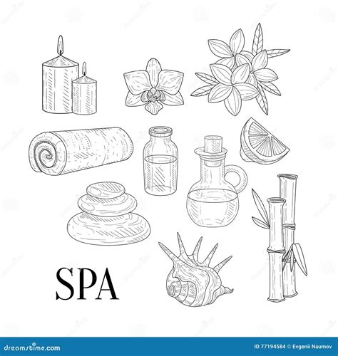 Spa Hand Drawn Realistic Sketches Stock Vector Illustration Of Health