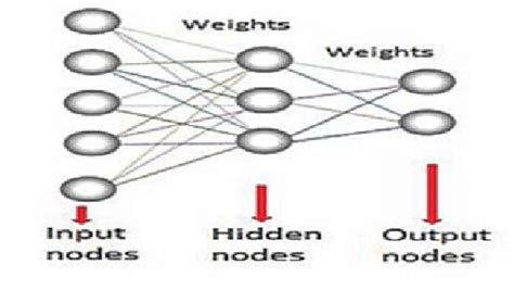 basic structure of artificial neural networks download scientific diagram