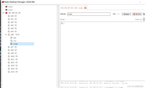 redis：使用java代码操作redis lect csdn博客