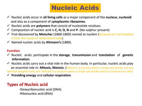 SOLUTION Nucleic Acid Complete Solution Studypool