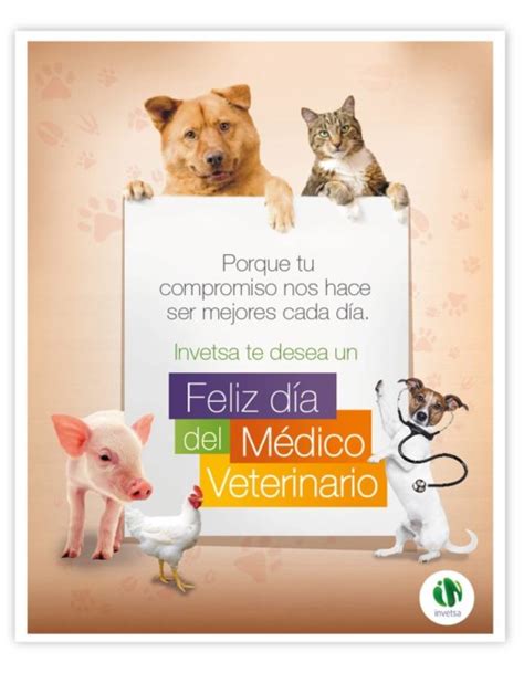 Imágenes hermosas con bonitos mensajes para festejar el día del