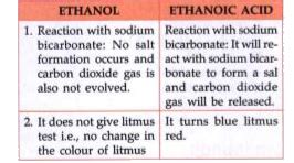 List In Tabular Form Three Physical And Two Chemical Properties On The