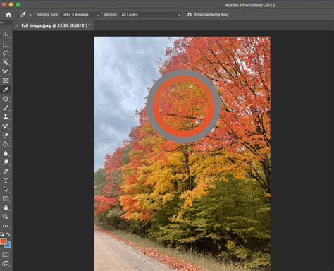 How To Use The Eyedropper Tool In Photoshop 4 Steps