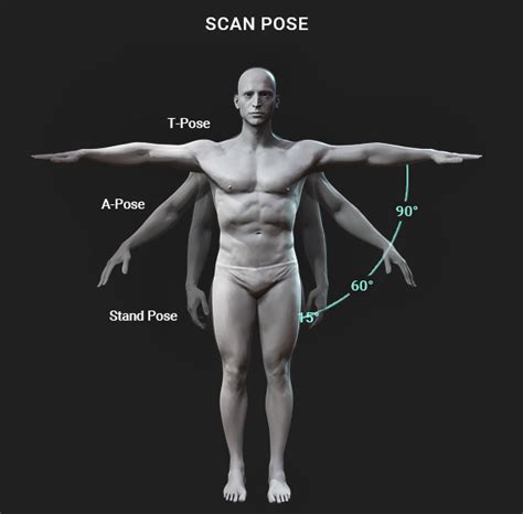 Unable To Change From T Pose To A Pose Animation And Rigging