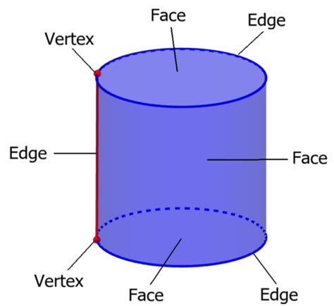 Parts Of A Cylinder Faces Vertices And Edges Neurochispas