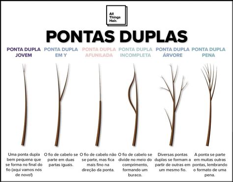 Pontas Duplas O Que Fazer Para Acabar Elas All Things Hair BR