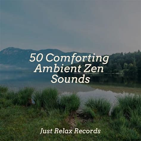Spiele 50 Comforting Ambient Zen Sounds von Música Para Meditar y