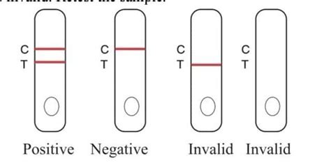 2 X Helicobacter H Pylori Stomach Ulcer Test Stool Test CE Marked Easy
