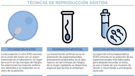 Qué técnicas de reproducción asistida son más efectivas