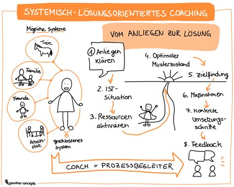 Blanke Theorie Luhmann Systemisches Coaching
