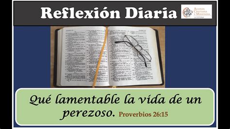 Reflexión Diaria QUÉ LAMENTABLE LA VIDA DE UN PEREZOSO YouTube