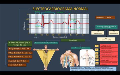 Fisiología básica Electrocardiograma Interpretación Eje Eléctrico