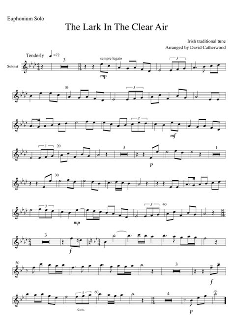 Euphonium Solo The Lark In The Clear Air An Irish Folk Tune For