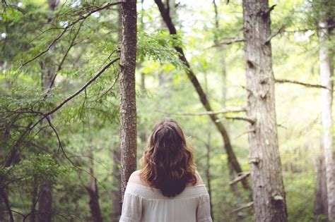Free Images Tree Nature Forest Branch Sunlight Woodland Habitat Natural Environment