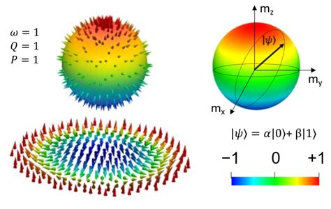 Left Hedgehog representation of a Néel skyrmion magnetization vector