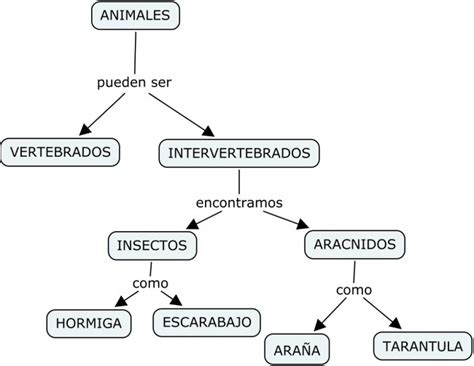 Cuadro Sinóptico ejemplos y como se hace paso a paso Cuadro Comparativo