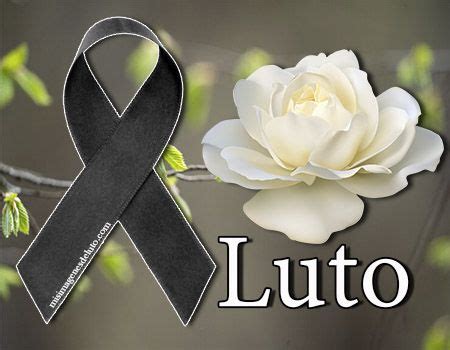 Lazos De Luto Con Una Rosa Blanca En Memoria De Un Ser Querido