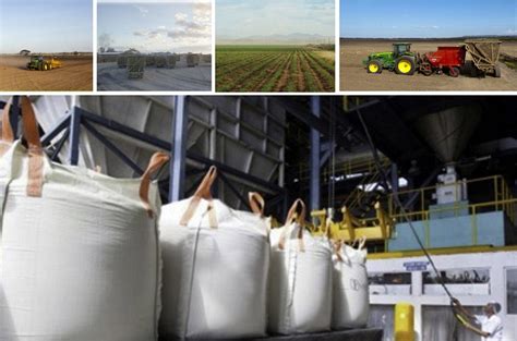 Azucarera El Viejo llega a cifra récord en producción de azúcar