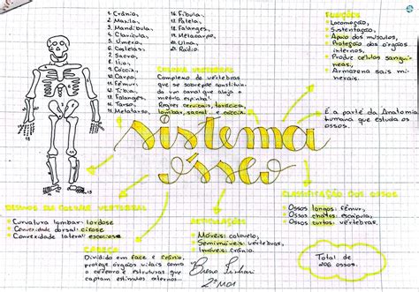Mapas Mentais Sistema Do Corpo Humano Bullet Journal Quick Nursing