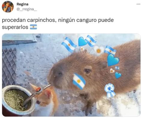 Los Mejores Memes Y Reacciones De Argentina Vs Australia Por El