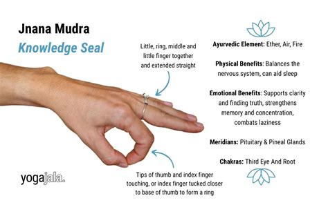 Chin Mudra Gesture Of Consciousness Jnana Mudra Wisdom Seal