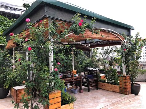 Top 50 mẫu sân thượng trồng cây đẹp và sáng tạo nhất