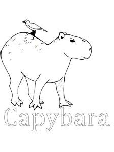 Dibujos De Carpincho Para Colorear Im Genes Para Colorear