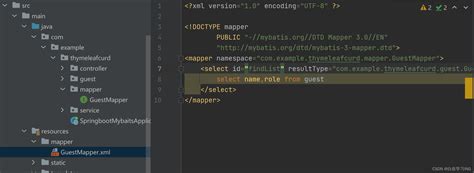 springboot mybatis的整合 springoobt myabits mapper csdn博客