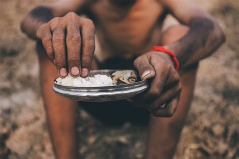 Programa De Combate Fome Deve Beneficiar Milhares De Brasileiros Conhe A