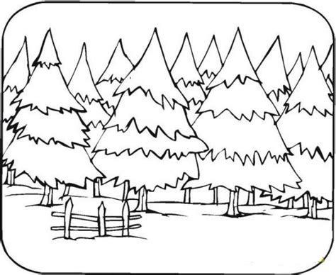 Bosque Naturaleza Dibujos Para Colorear E Imprimir Gratis