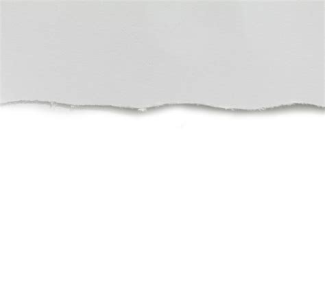 Pedazos De Fondo De Textura De Papel Rasgado Con Espacio Para Copiar