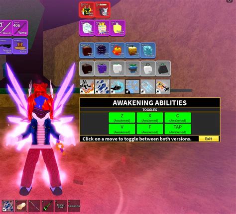 Blox Fruit Account Lv Max Full Gear Awaken Cyborg Race V