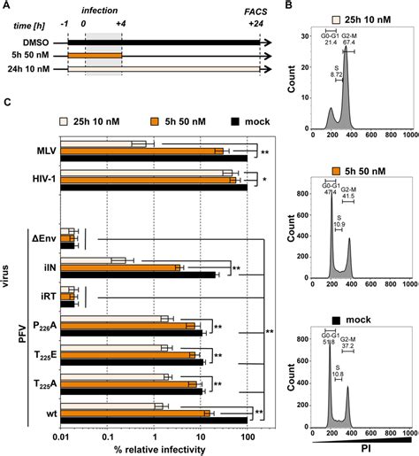 Effect Of Enzymatic Plk Inhibition On The Titers Of Pfv Hiv And Mlv