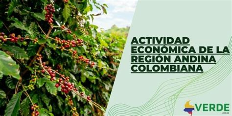 Alimentos de la región Amazónica Colombia Verde