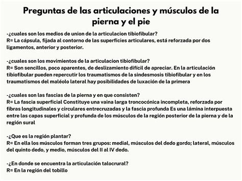 SOLUTION Anatomia Articulacion De Pierna Y Pie Y Musculos Studypool