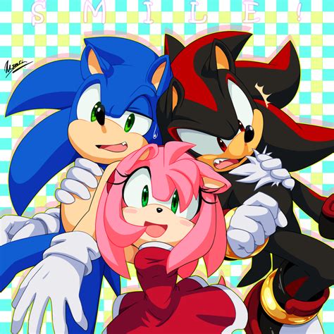Amy Rose Human And Shadow