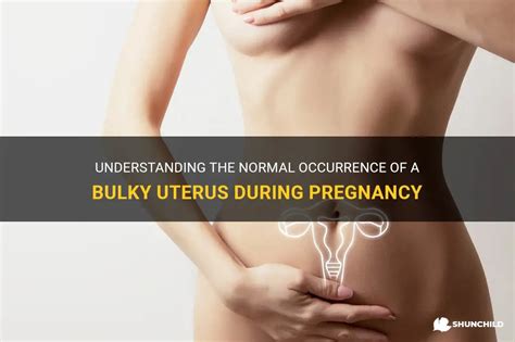 Understanding The Normal Occurrence Of A Bulky Uterus During Pregnancy