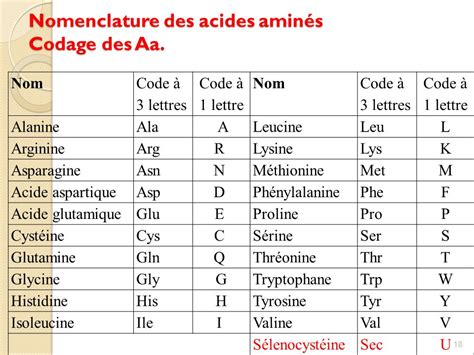Code Une Lettre Des Acides Amin S Exemple De Lettre