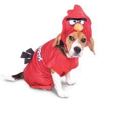 Ideas Faciles Para Disfrazar Mascotas