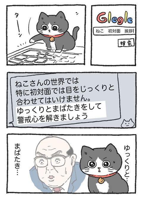 On Twitter Rt Yajima Kenji