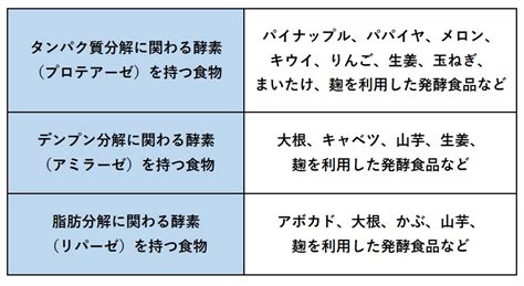 タンパク質を分解する消化酵素とは 消化酵素の役割摂取すべき食物 サカナのちから たんぱく質ヘルスケアコラム