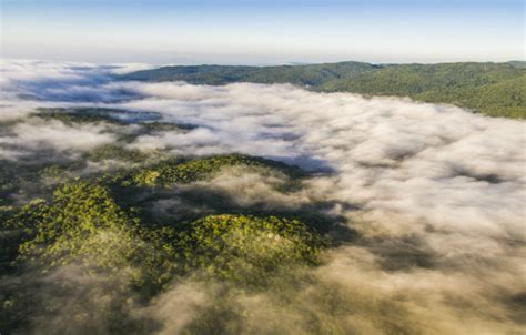 Reserva de la Biosfera El Cielo el paraíso en Tamaulipas