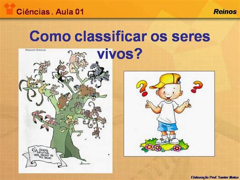 Classificação Dos Seres Vivos Exercícios RETOEDU