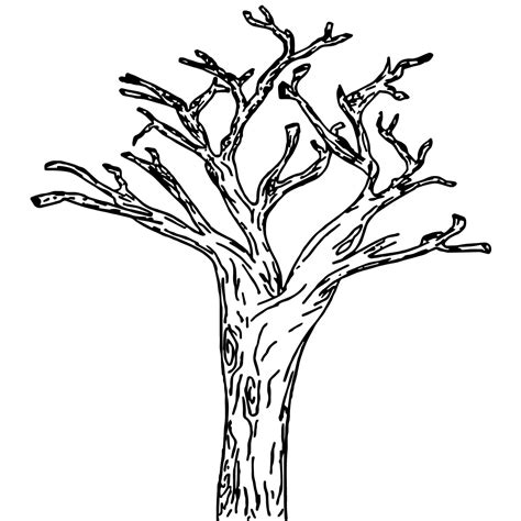 Desenhos de Tronco de Árvore Grátis para Colorir e Imprimir